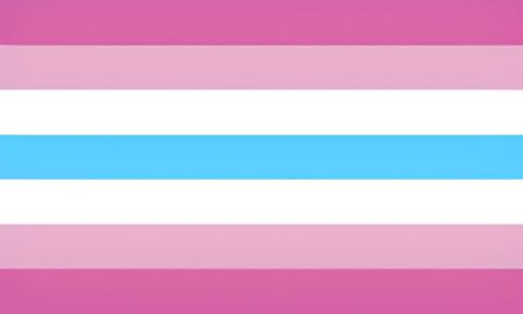 Wat is een femboy? - Education