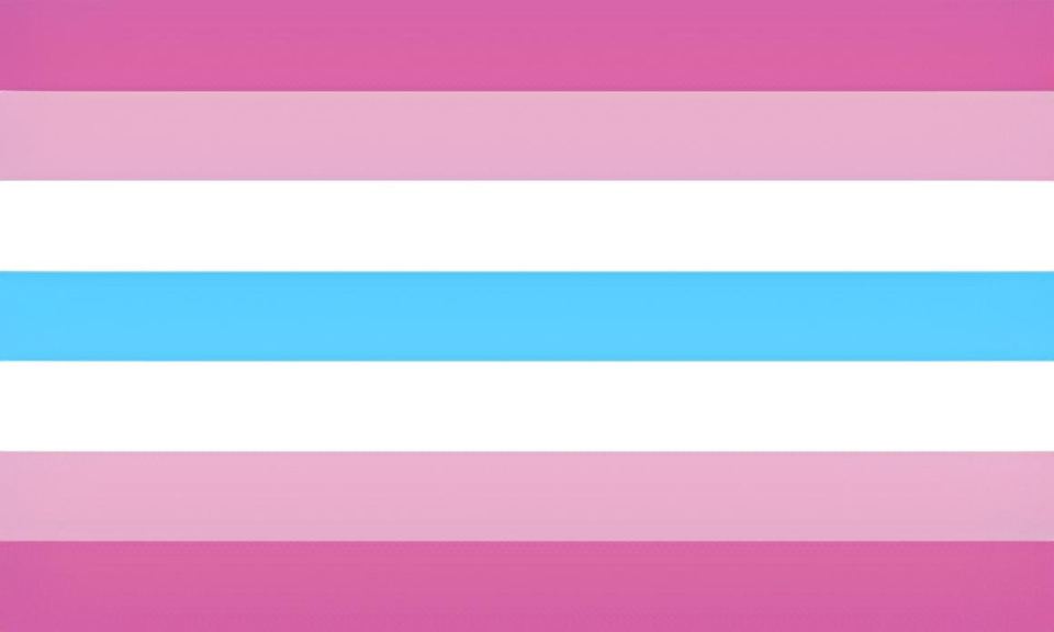 Wat is een femboy? - Education